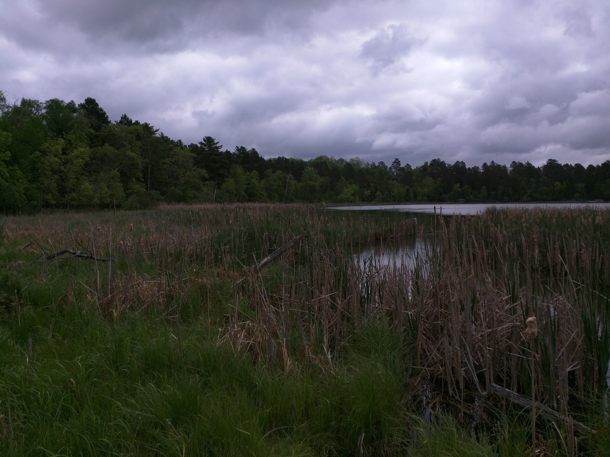 A Foragers Most Important Tool – Into the Northwoods